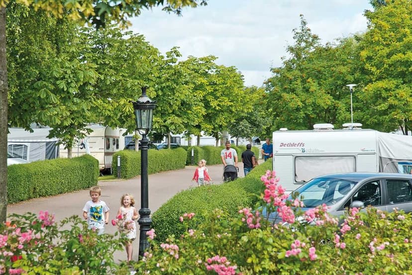 Camping | Fyn, Bøsøre Strand